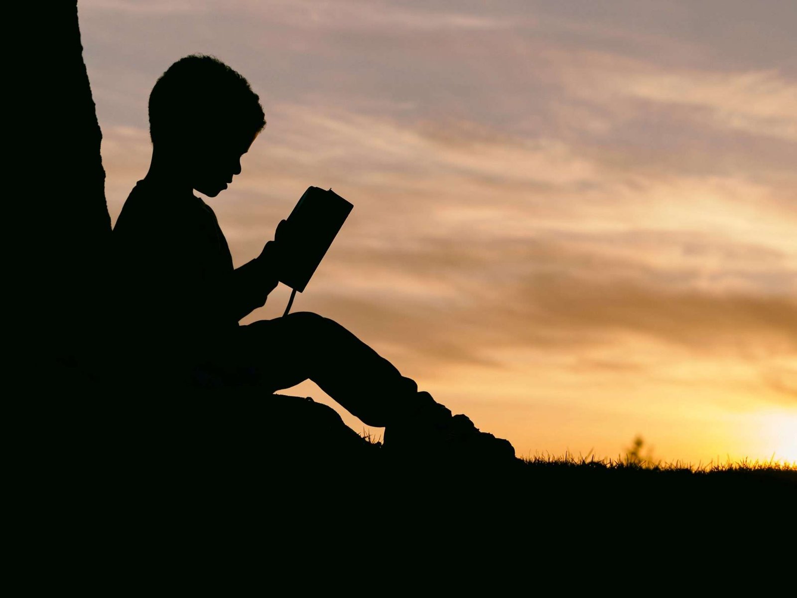 Who Is Your Ideal Reader Avatar? | Writing Pursuits