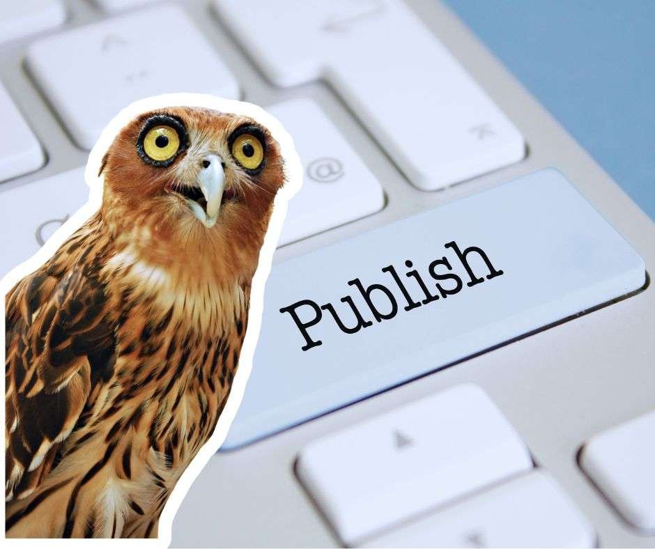 How to Find a Reputable Small Press | Writing Pursuits